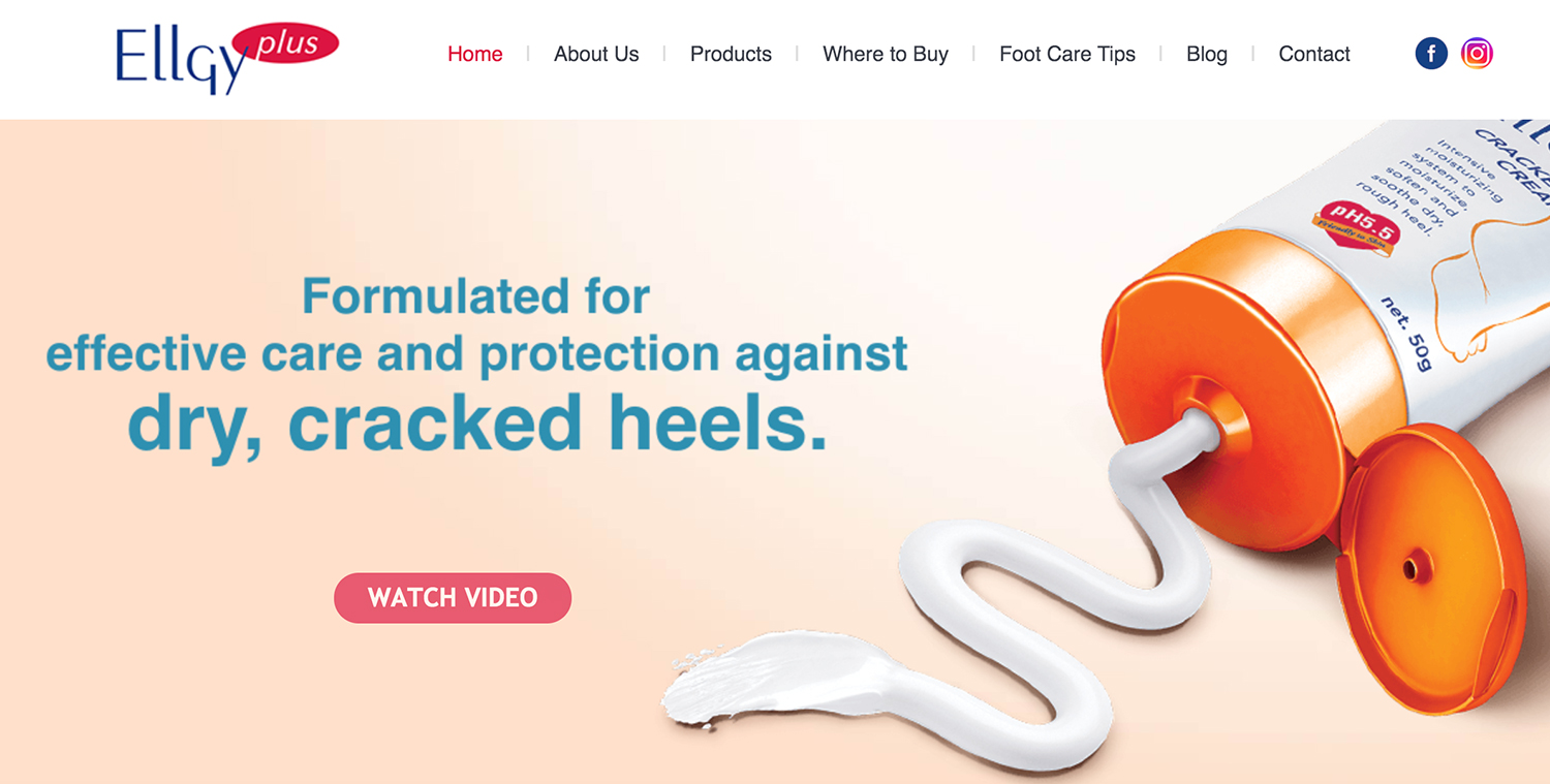 Premium Web Design and Development Company KL, Malaysia - Wilwe